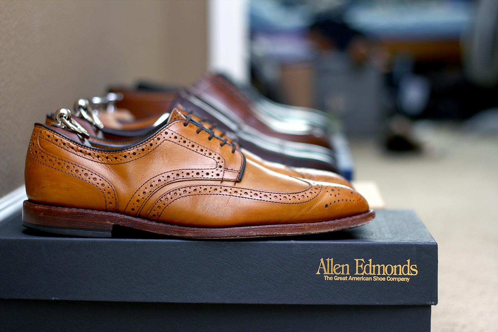 Allen Edmonds Appreciation Thread 2016 - News, Pictures, Sizing ...